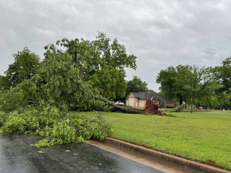 PHOTOS: Trees down, roads flooded after severe weather hits East Texas