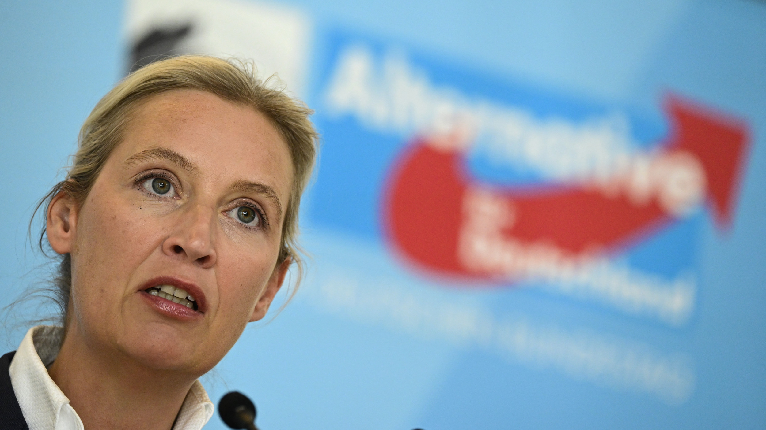 Germany's AfD Party Looks to Capitalize on Shock Vote