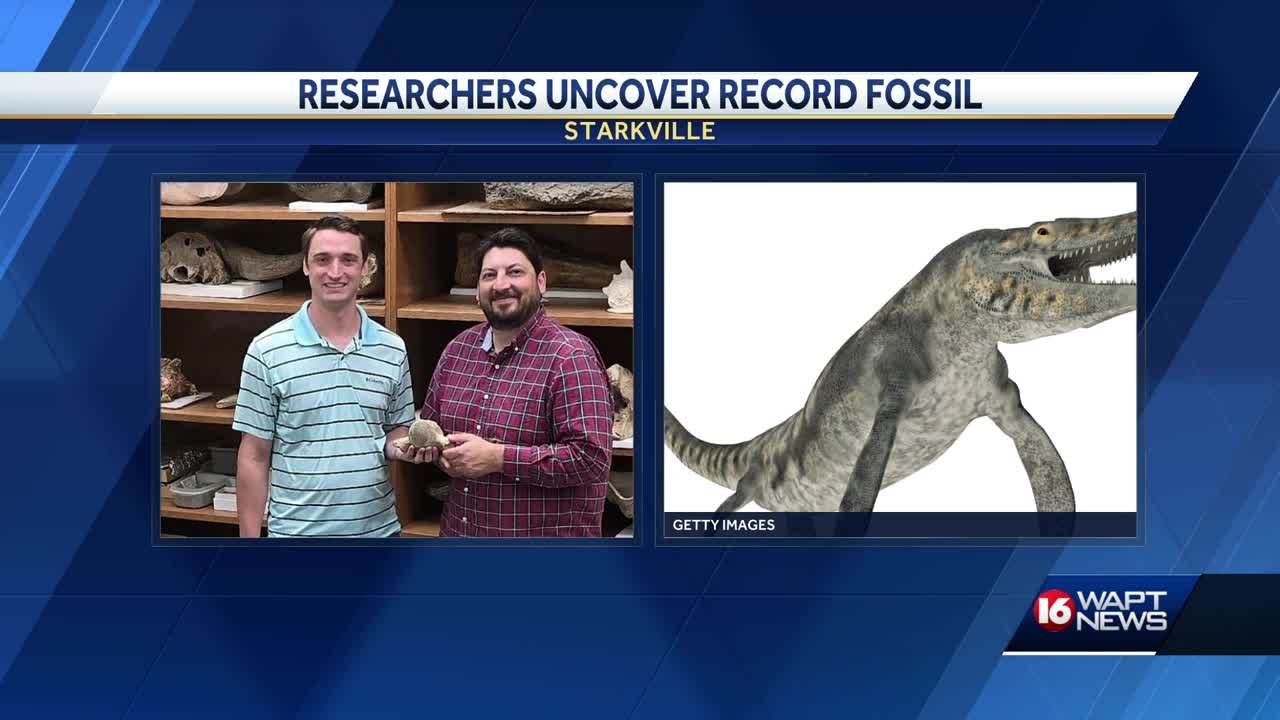 MSU makes big fossil discovery