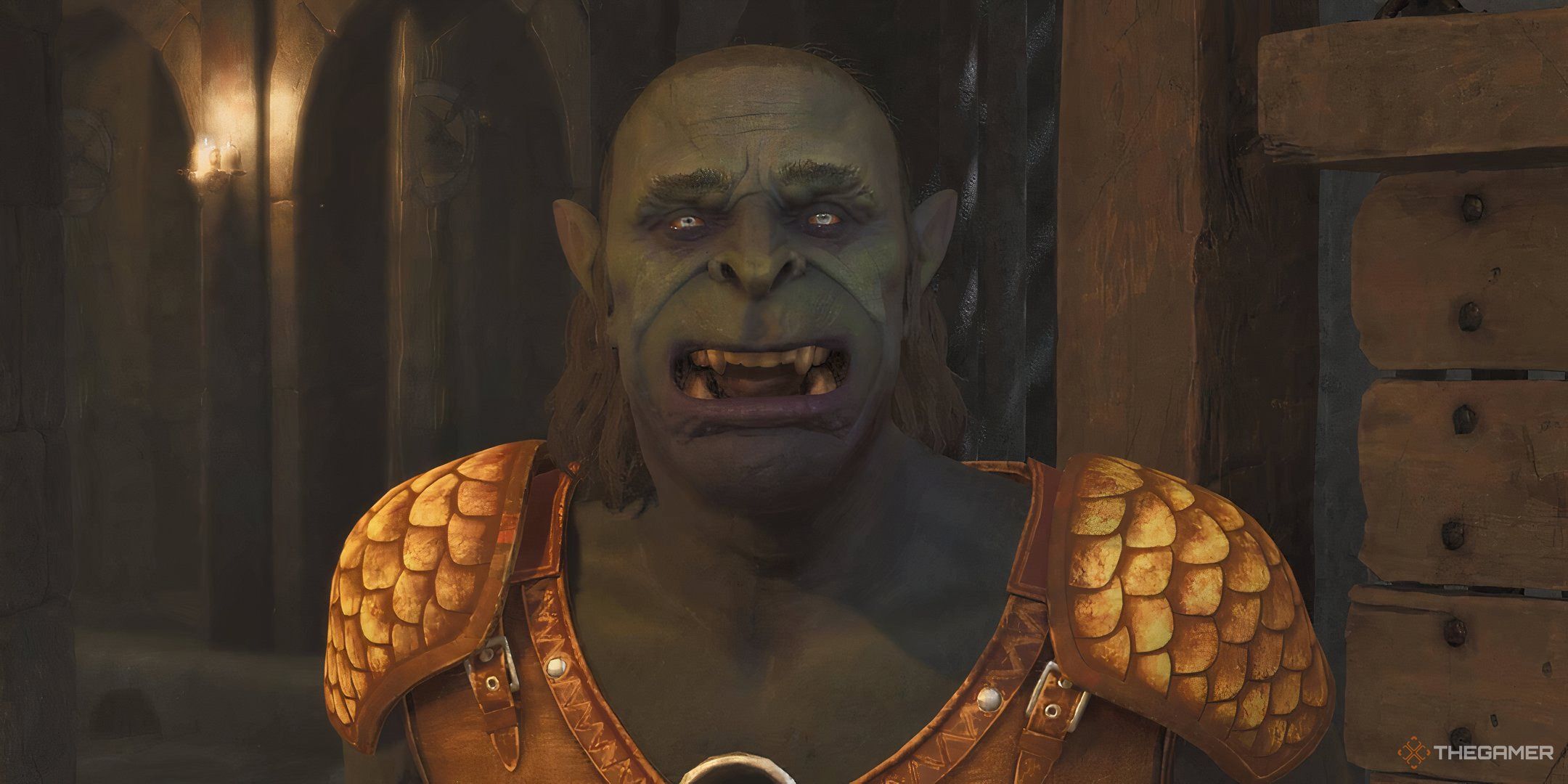 Every Faction In The Elder Scrolls IV: Oblivion Remastered, Ranked