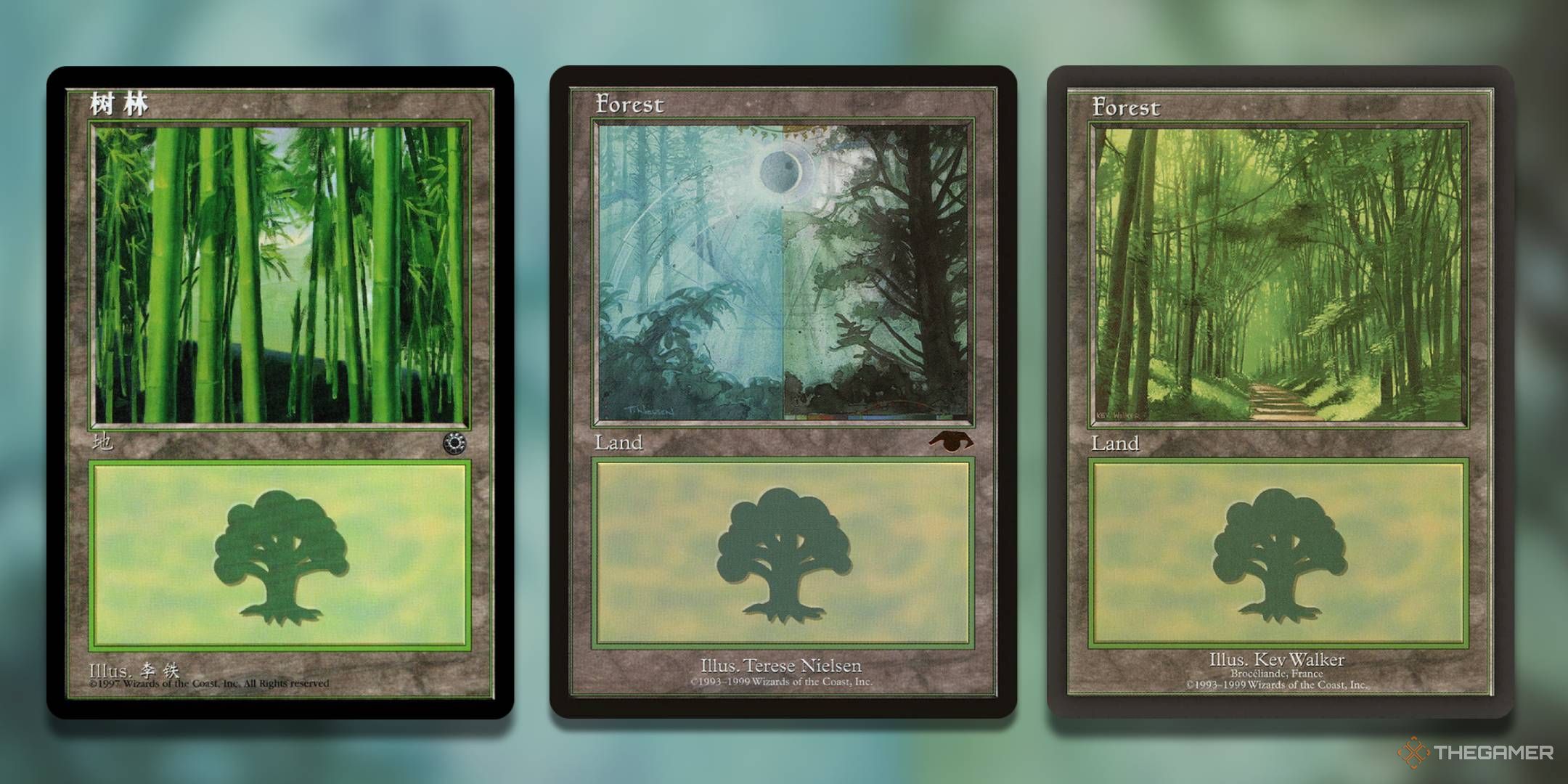 The 10 Most Valuable Basic Forests In MTG