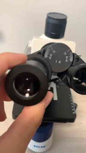 The Power of Microscopes in Science