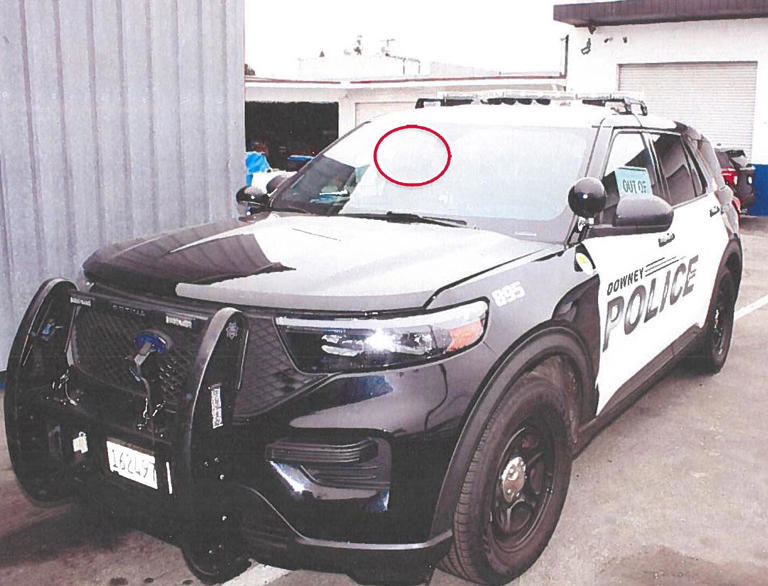 Cop fatally hit pedestrian and drove away. Victim's family says Downey ...