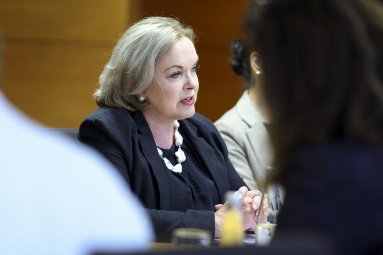 Minister Judith Collins says no allies have put pressure on government ...