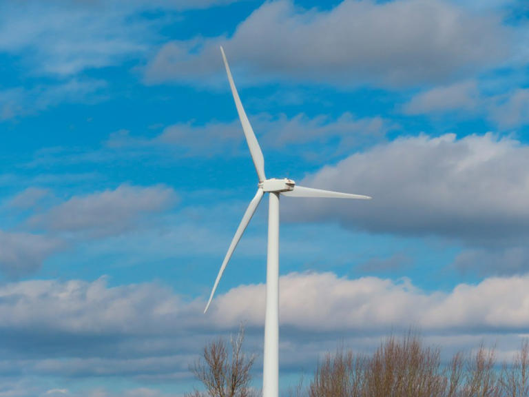 Michigan, other states sue Trump administration for stopping wind ...