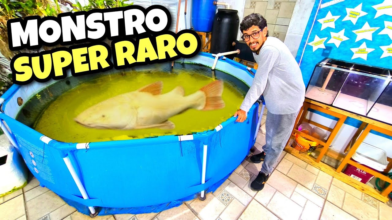 Coloquei Meu Novo Peixe Monstro Super Raro na Piscina de Predadores