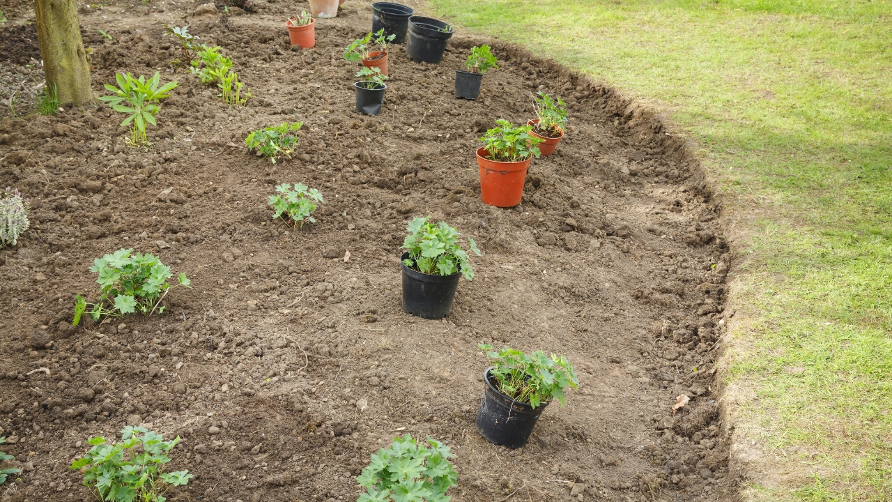 9 landscaping mistakes that can ruin your curb appeal