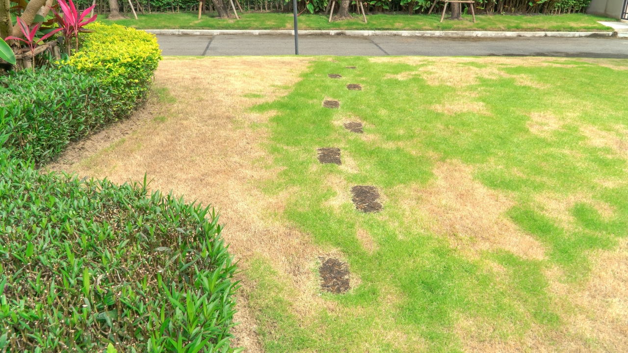 9 landscaping mistakes that make your yard look unfinished