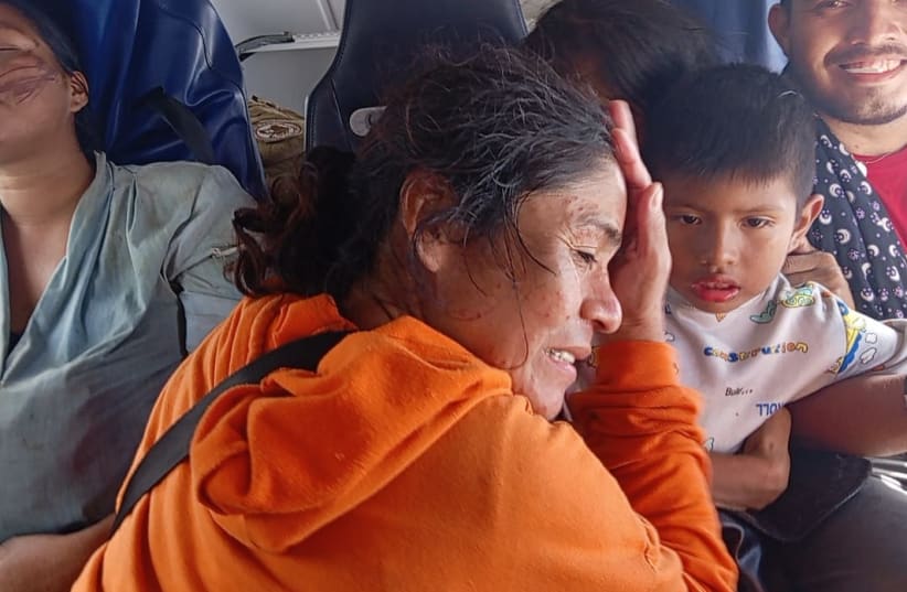 Stranded: Survivor shares ordeal after spending 36 hours in gator ...