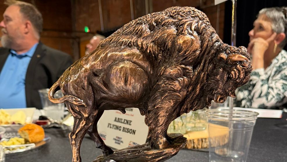Abilene Flying Bison named New Business of the Year