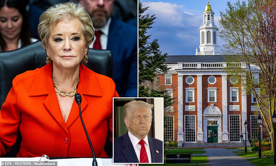 Harvard letter errors spark mockery of Trump's education secretary