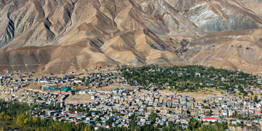 Protesters drag Trump coffin through streets