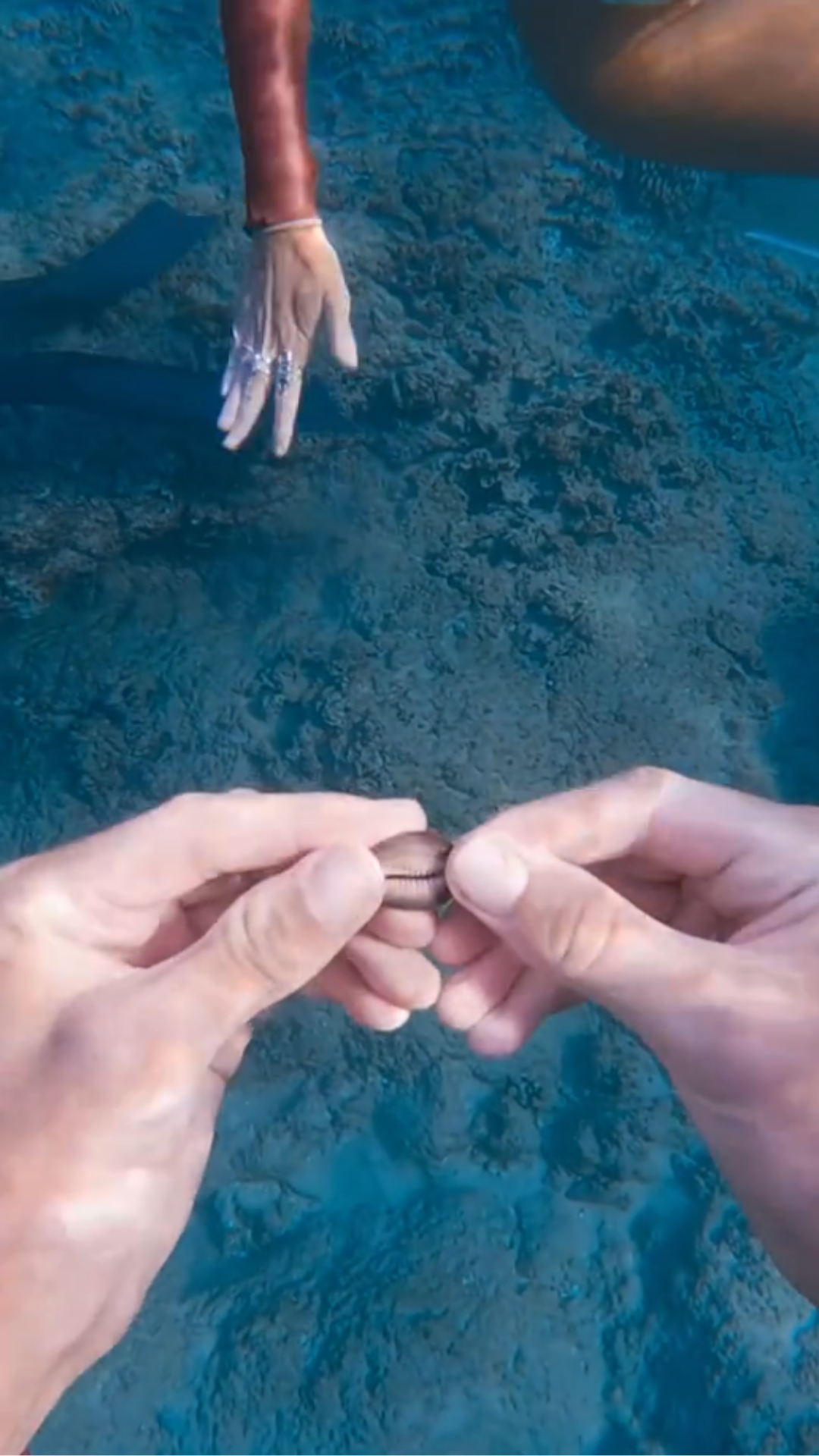 Britney’s First Day Back in the Water – Epic Shell Hunting Adventure