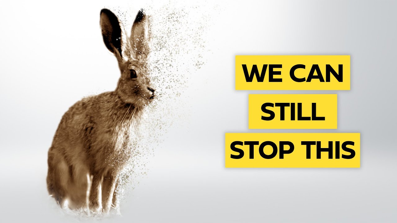 Why the sixth mass extinction is here. Now.