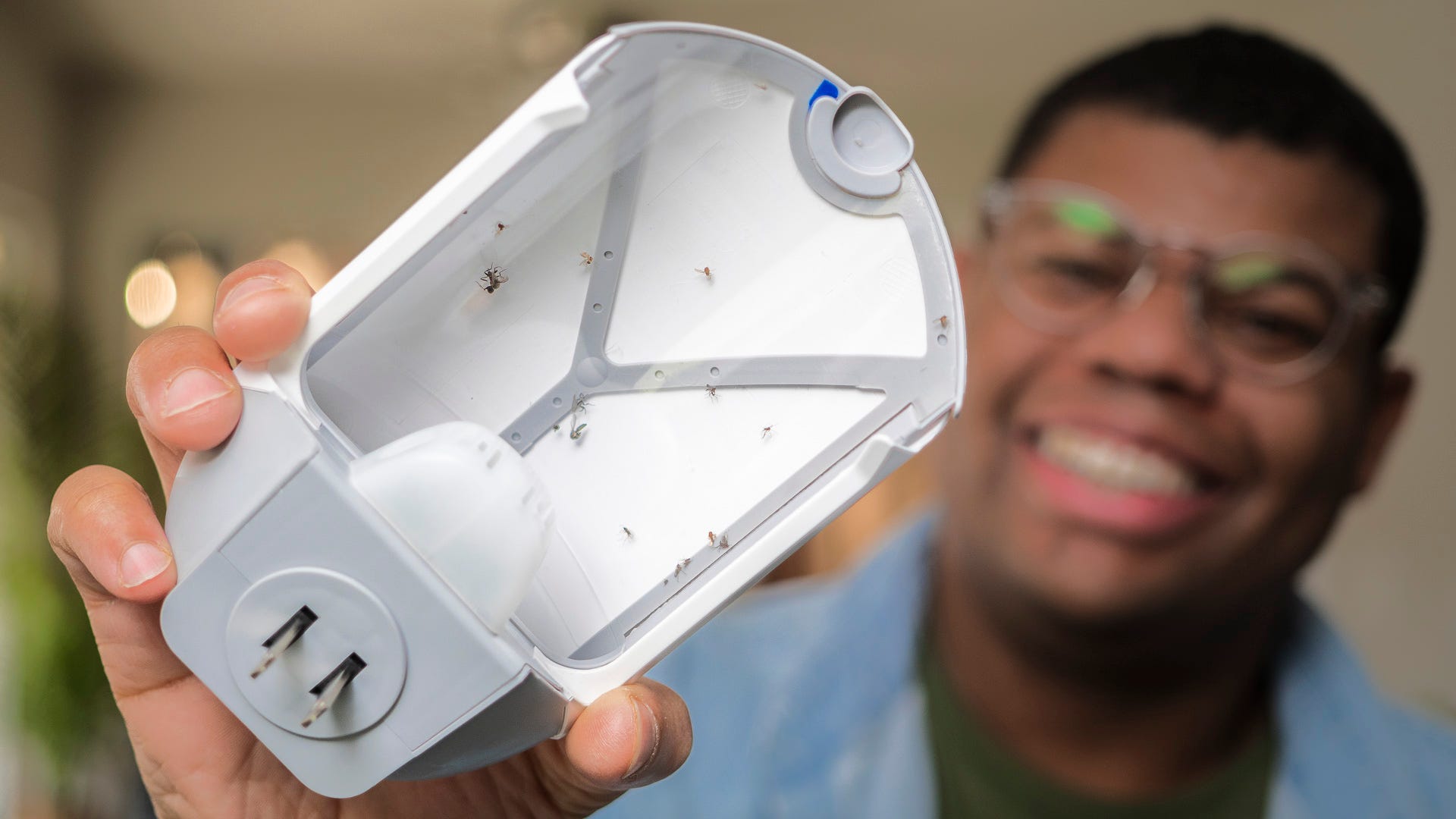 Noticing gnats in your house in Louisiana? Here's how to get rid of them