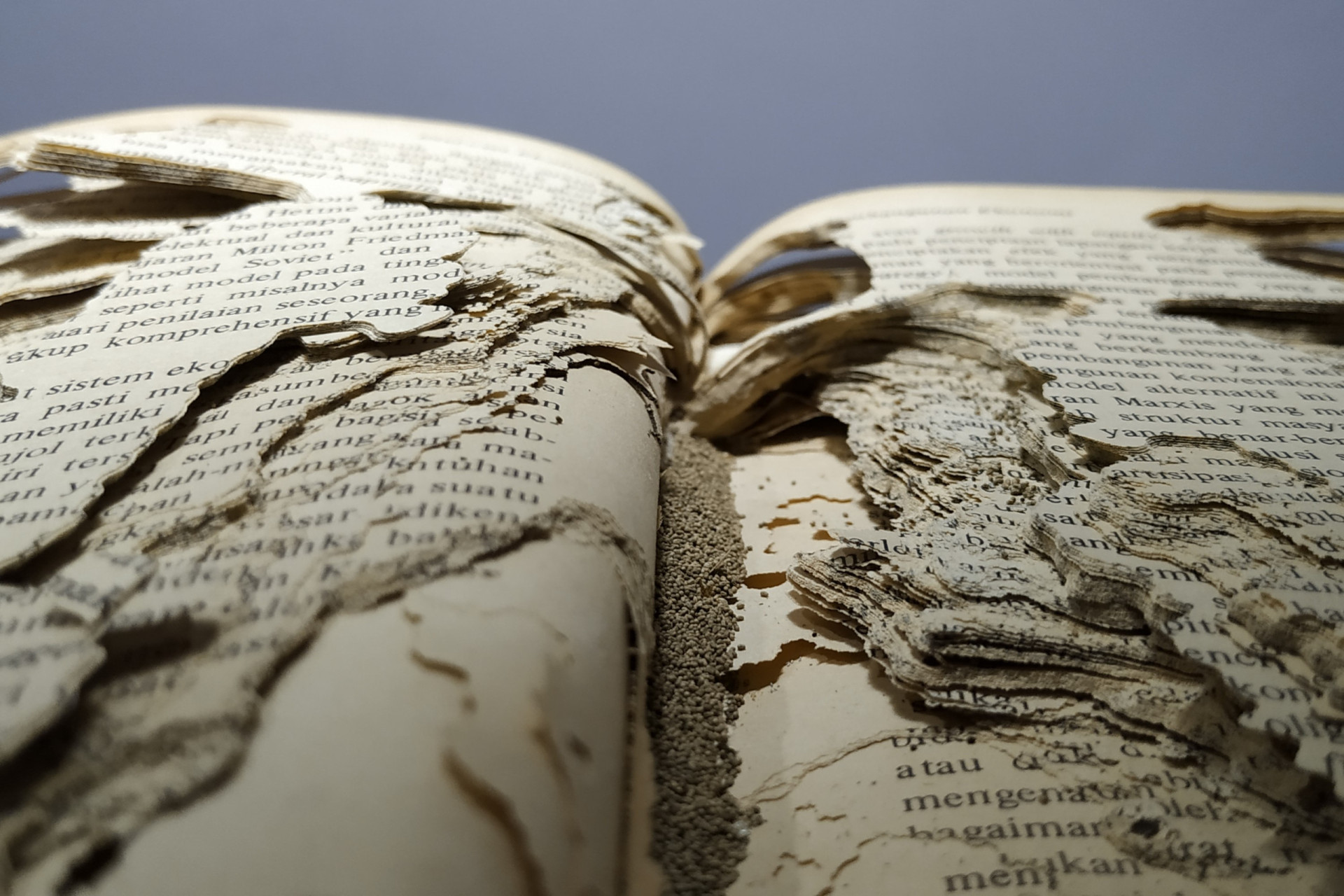 Countries with the highest and lowest literacy rates