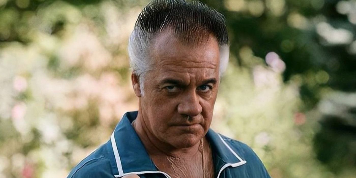 10 Best Lesser-Known TV Shows Like 'The Sopranos'