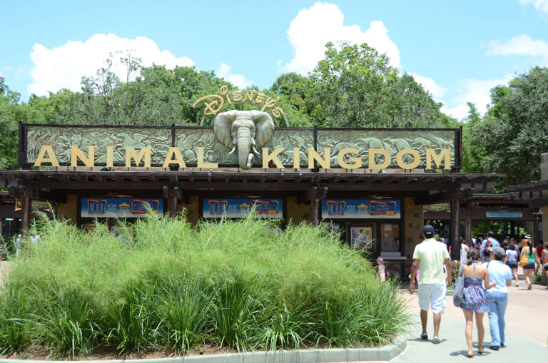 Disney theme park coming to the UAE: Disneyland Abu Dhabi to open on ...