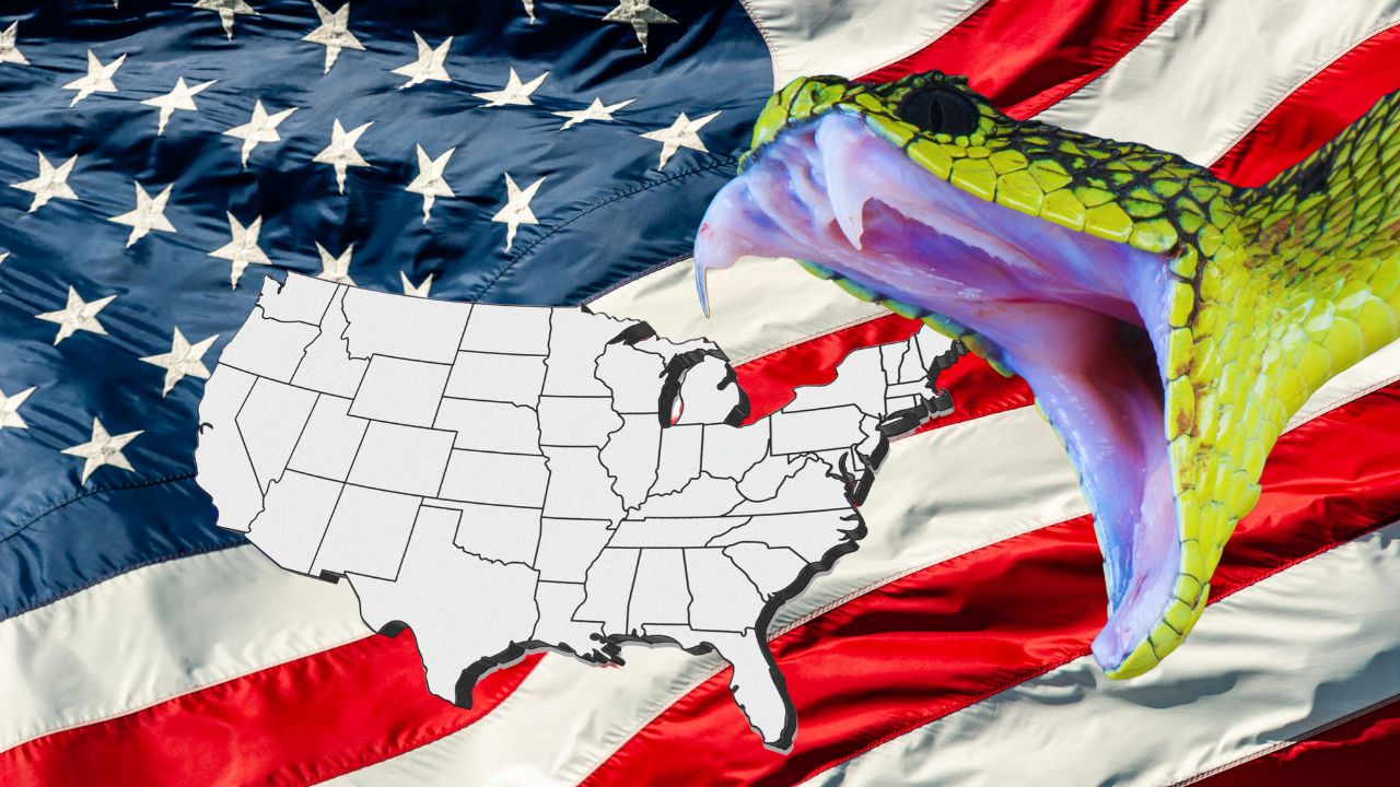 10 States Where Snakes Are Everywhere