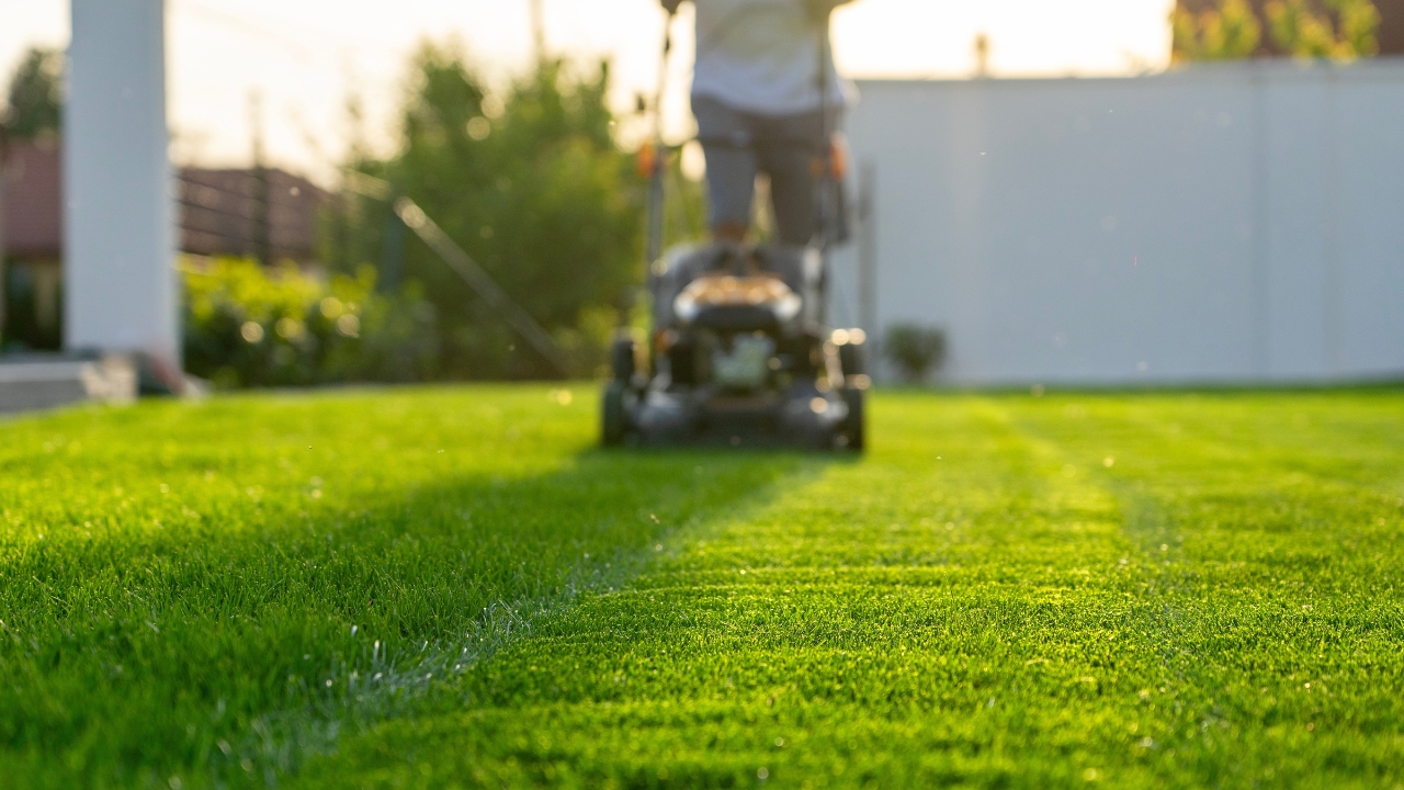 10 things you can do to fix up a neglected yard