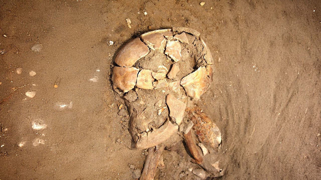 The Last Evidence of Humanity: What Will Survive Us?