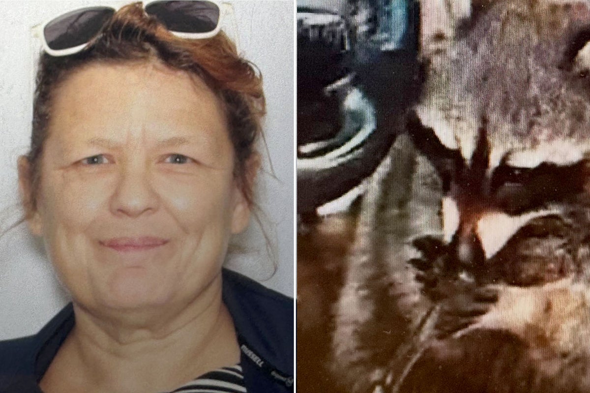 Racoon found ‘playing’ with meth pipe in driver’s seat during Ohio ...