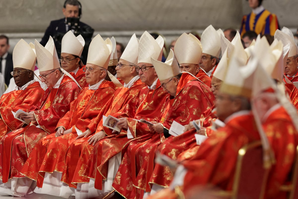 Who could be the next pope after Francis? All the cardinals in the ...