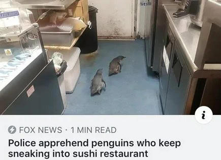 36 Funny Penguin Memes That Are Just Flippin' Hilarious