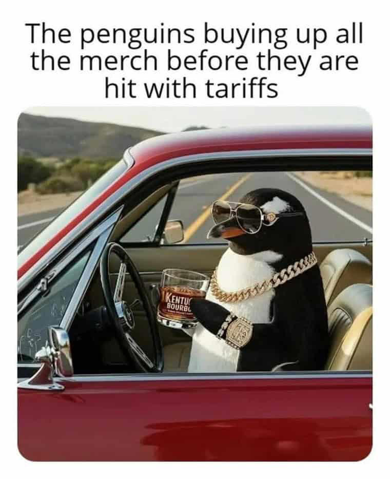 36 Funny Penguin Memes That Are Just Flippin' Hilarious