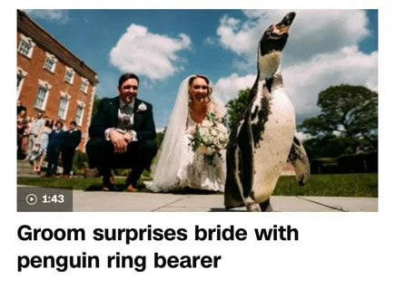 36 Funny Penguin Memes That Are Just Flippin' Hilarious