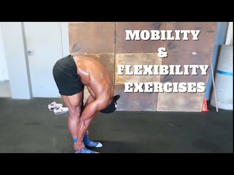 ESSENTIAL MOBILITY EXERCISES YOU SHOULD BE DOING | Improve Mobility and ...