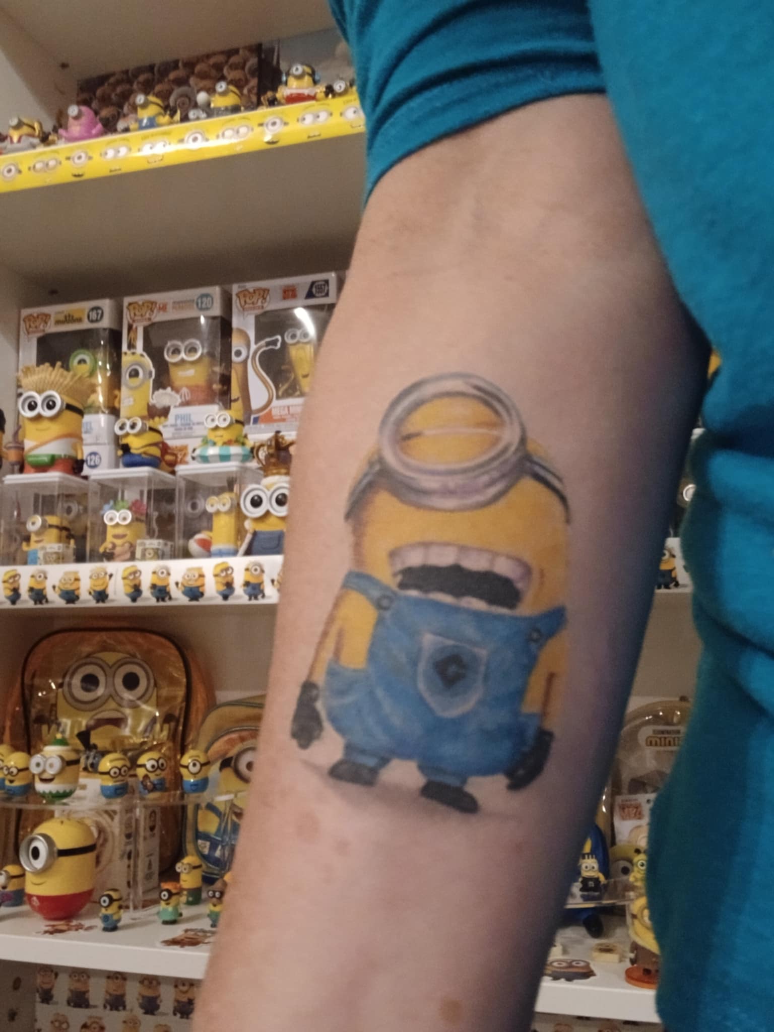 Woman wins record for world’s largest Minion collection