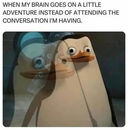 36 Funny Penguin Memes That Are Just Flippin' Hilarious