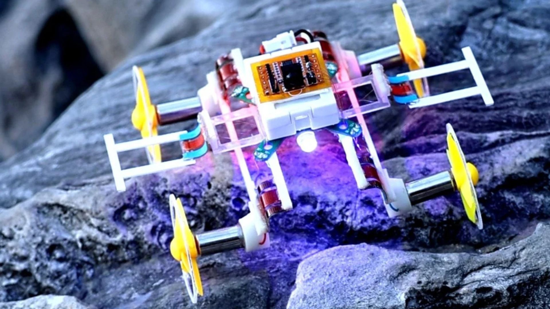 World’s smallest morphing robot takes on land, air for future rescue ...