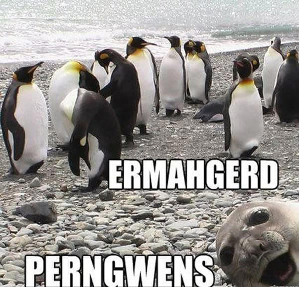 36 Funny Penguin Memes That Are Just Flippin' Hilarious