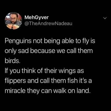 36 Funny Penguin Memes That Are Just Flippin' Hilarious