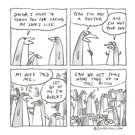 36 Funny Penguin Memes That Are Just Flippin' Hilarious