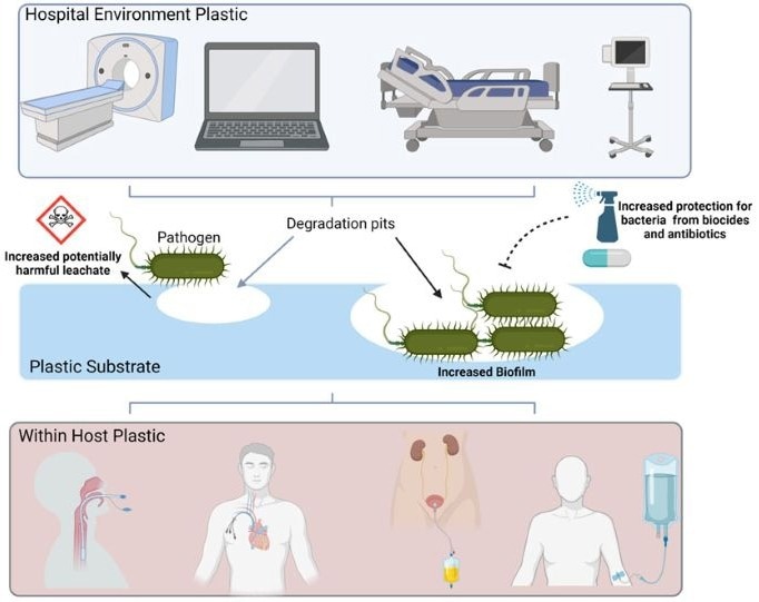 ‘Superbug’ Found to Digest Medical Plastic