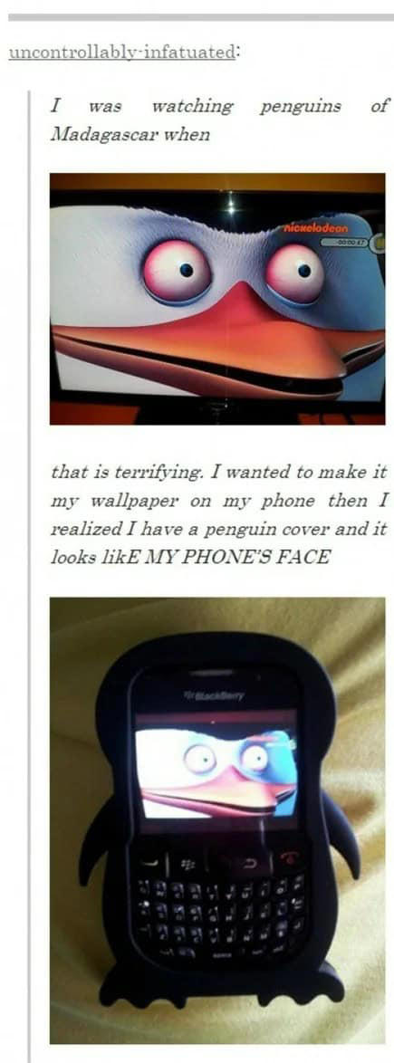 36 Funny Penguin Memes That Are Just Flippin' Hilarious