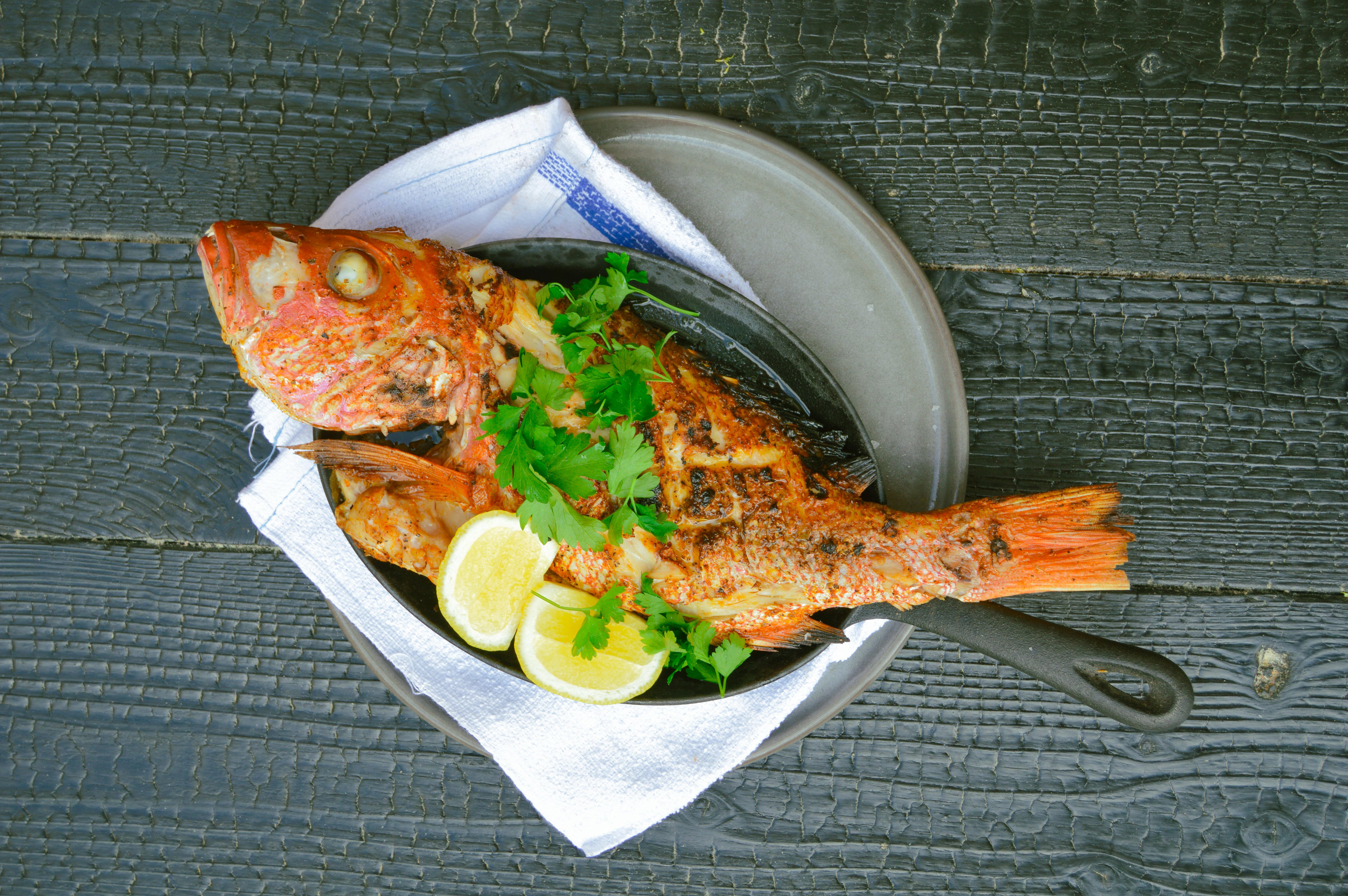 Dining Updates: Southern Cross Hospitality grows its Starland portfolio ...