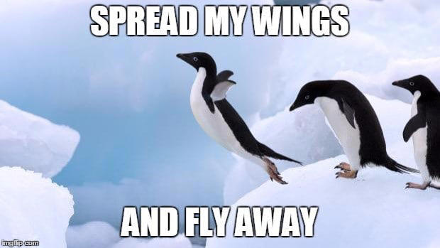 36 Funny Penguin Memes That Are Just Flippin' Hilarious