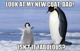 36 Funny Penguin Memes That Are Just Flippin' Hilarious