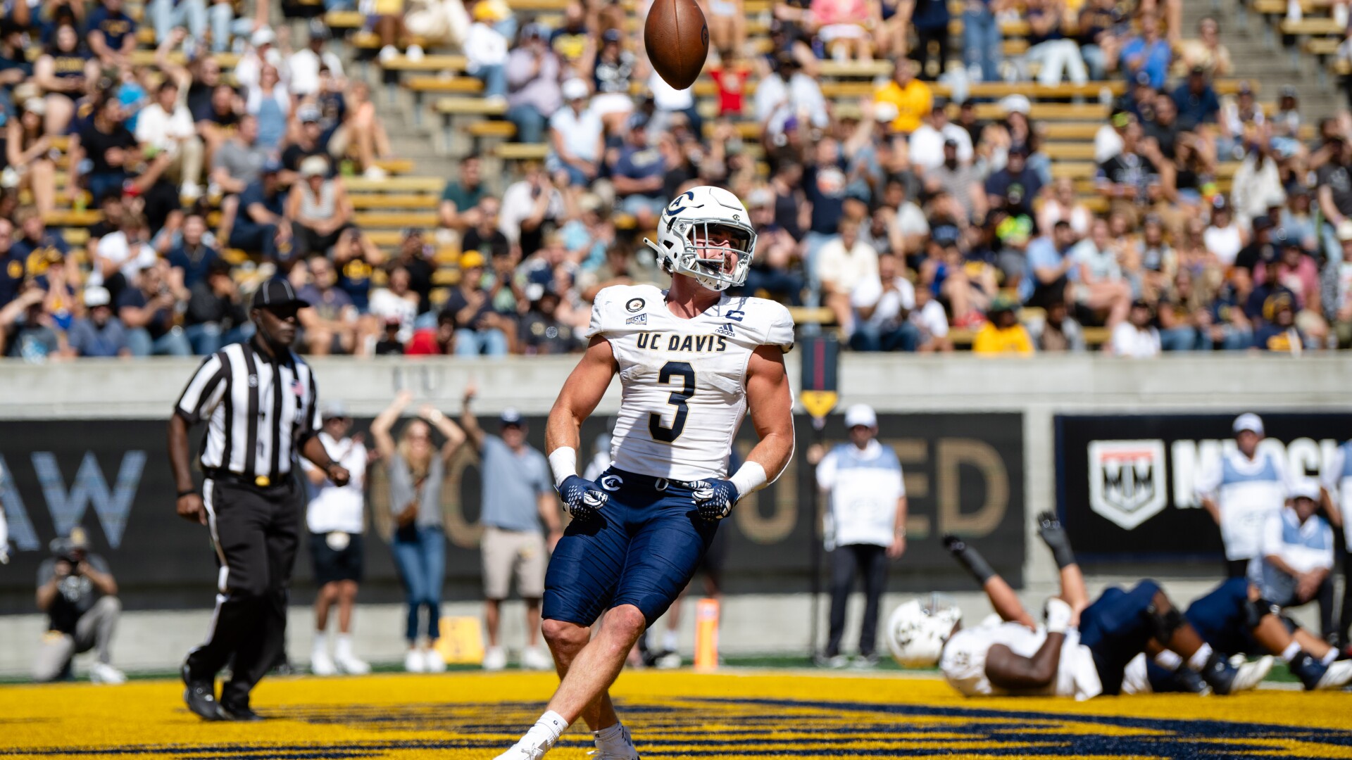 Patriots gave undrafted rookie Lan Larison a $175K guarantee