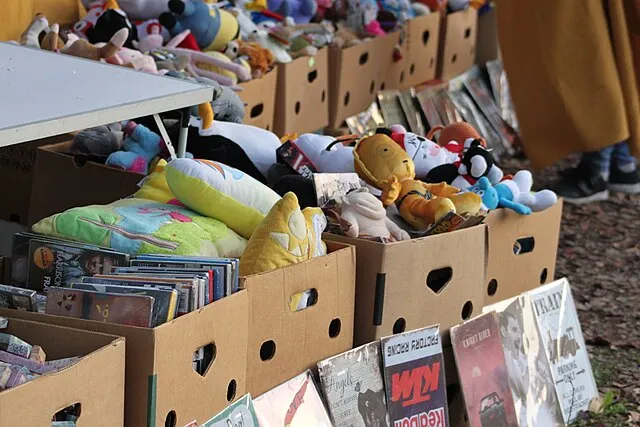 10 Toys That Created Nationwide Frenzies—and Then Vanished