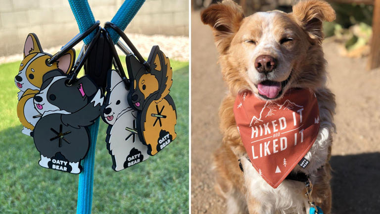 First AAPI-owned dog boutique opens in Tempe with Asian-inspired ...