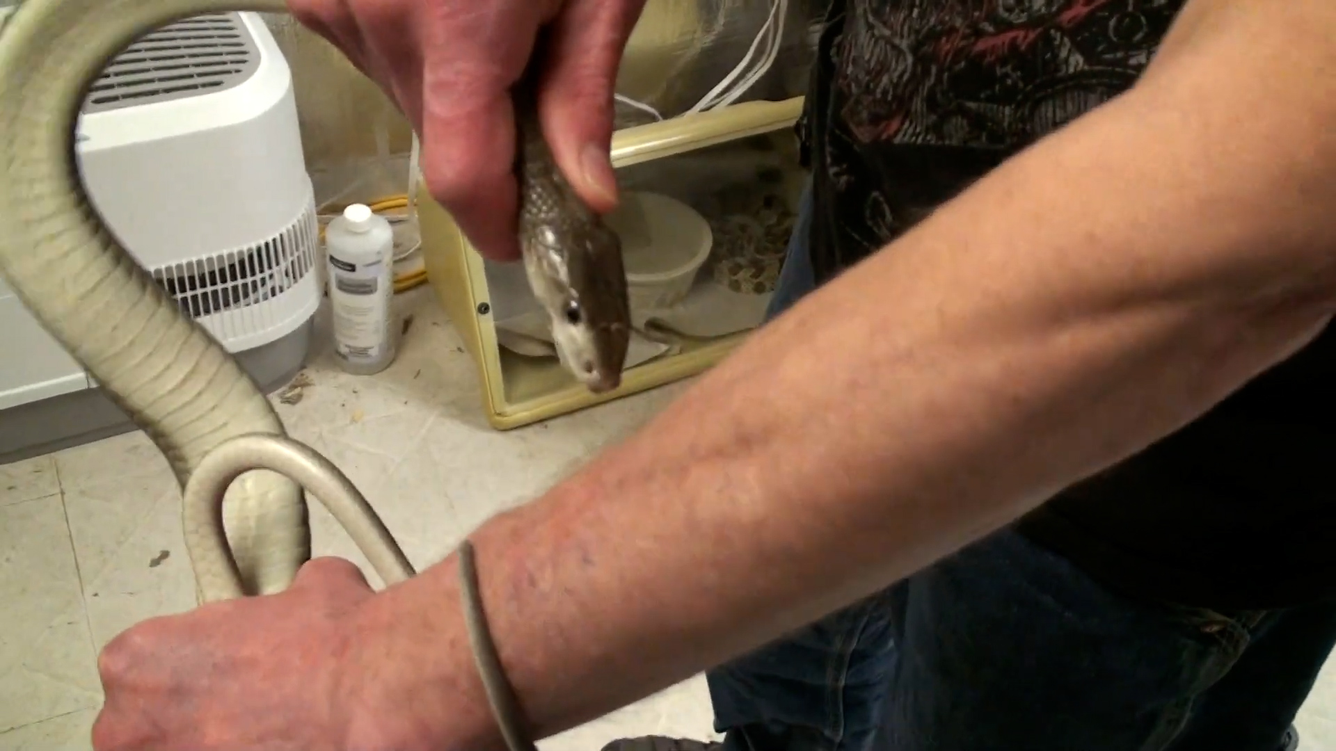 Recherche sur les antivenins : Tim Friede, l'homme mordu 200 fois par ...