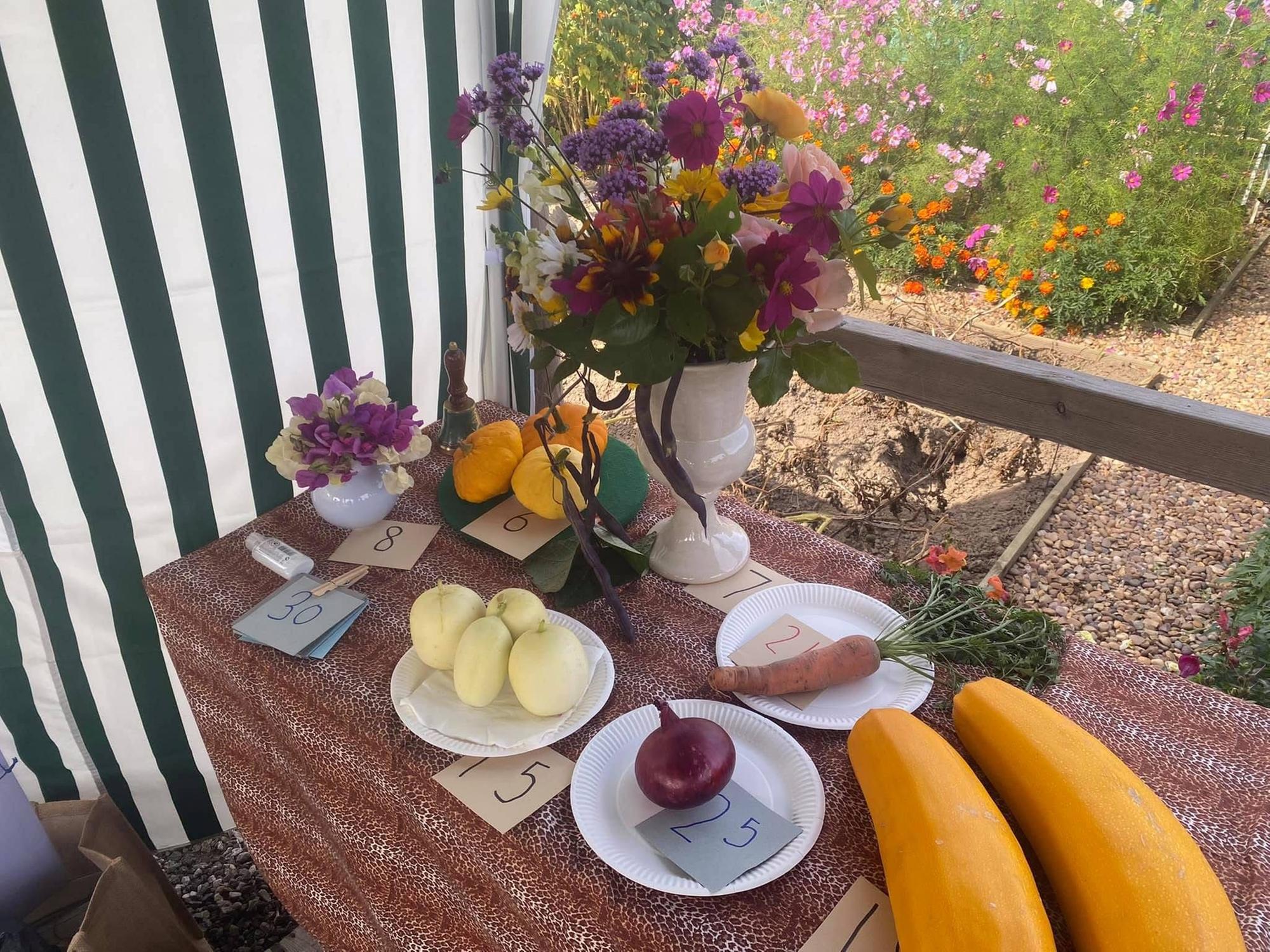 Grant makes community allotments even more accessible