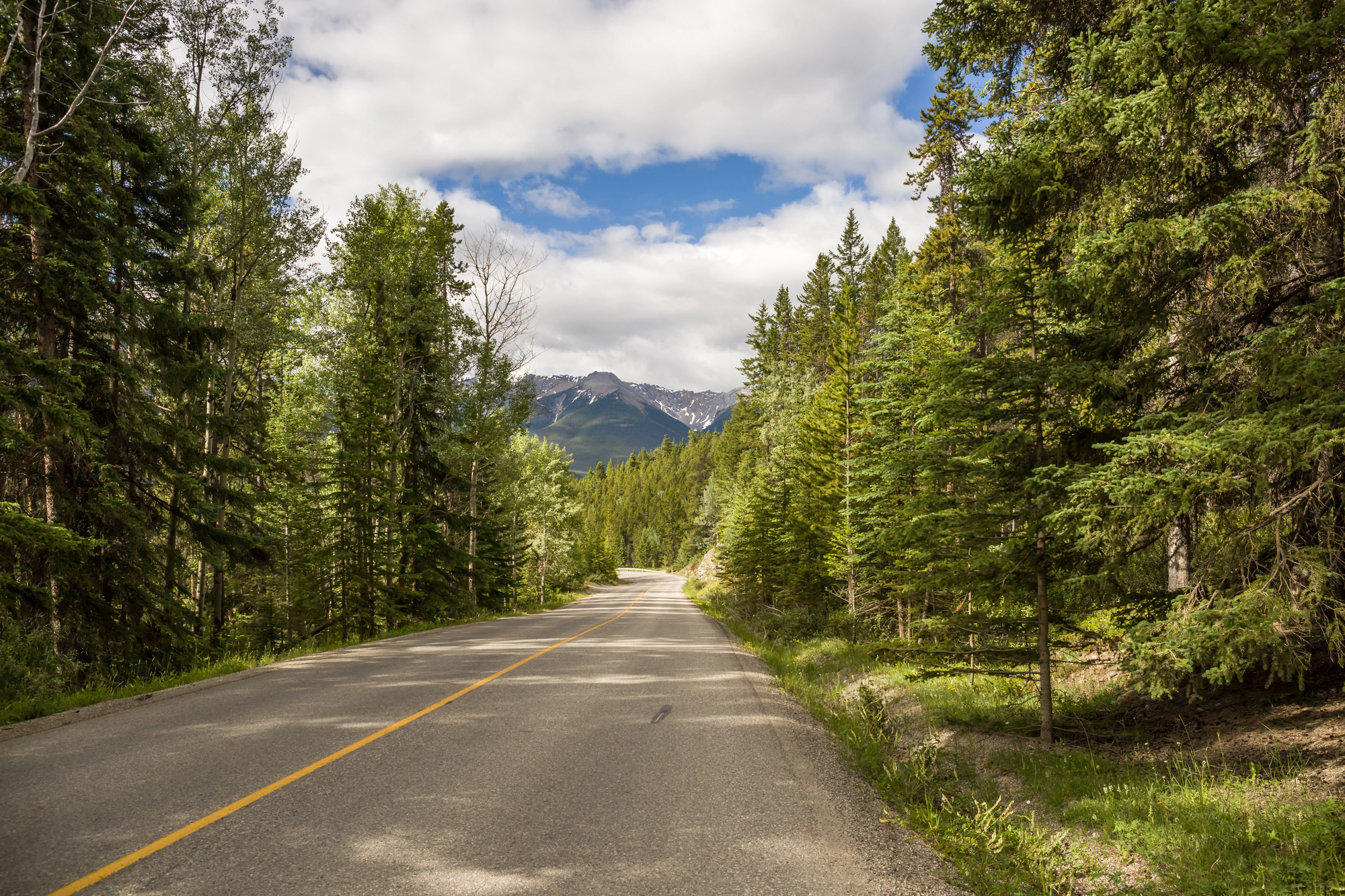 14 Best Views in Banff National Park