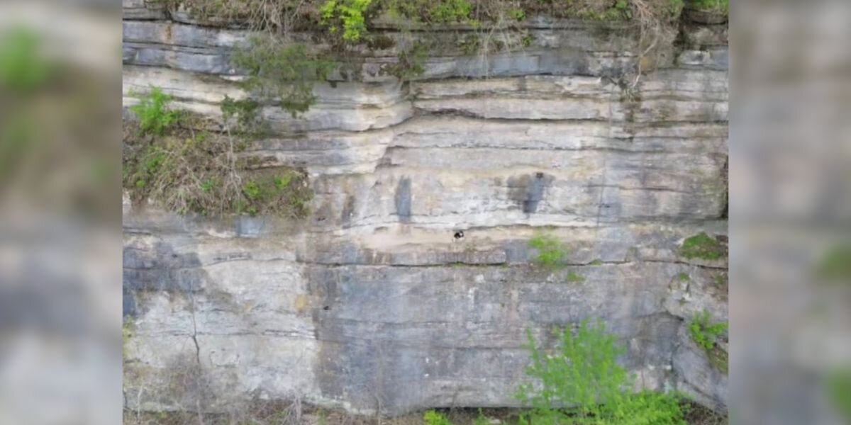 Woman Sees Speck On Cliff And Finds Someone Trapped 100 Feet Above River