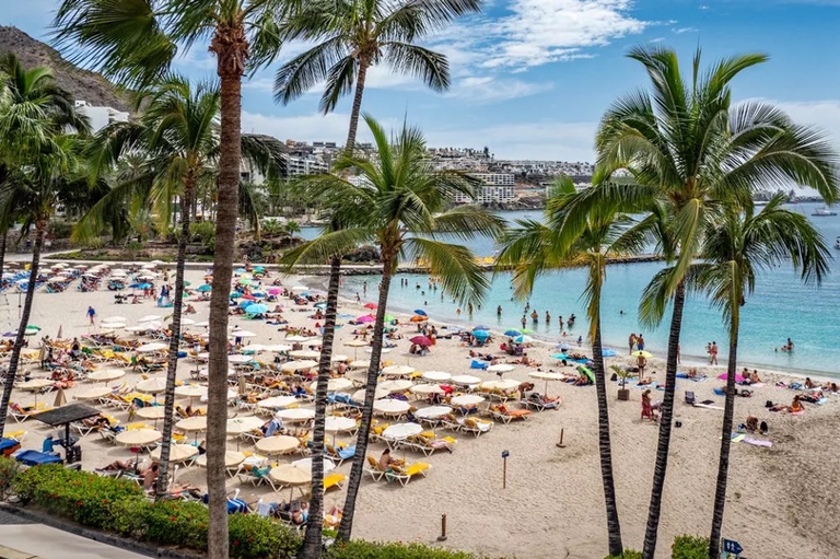 Woman's dismembered body turns up on Gran Canaria beach after texting ...